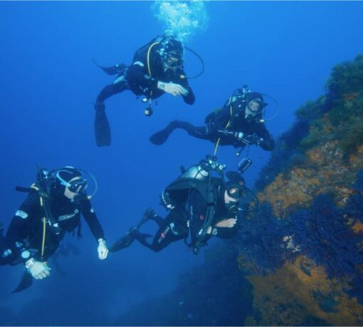 ZRC 1904 - La vie est aventures - ZRC